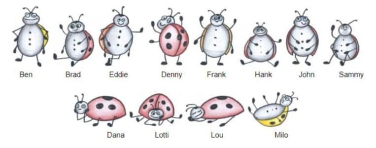 Fear of Ladybugs, What It Is, How and Why It Occurs, How to Beat It